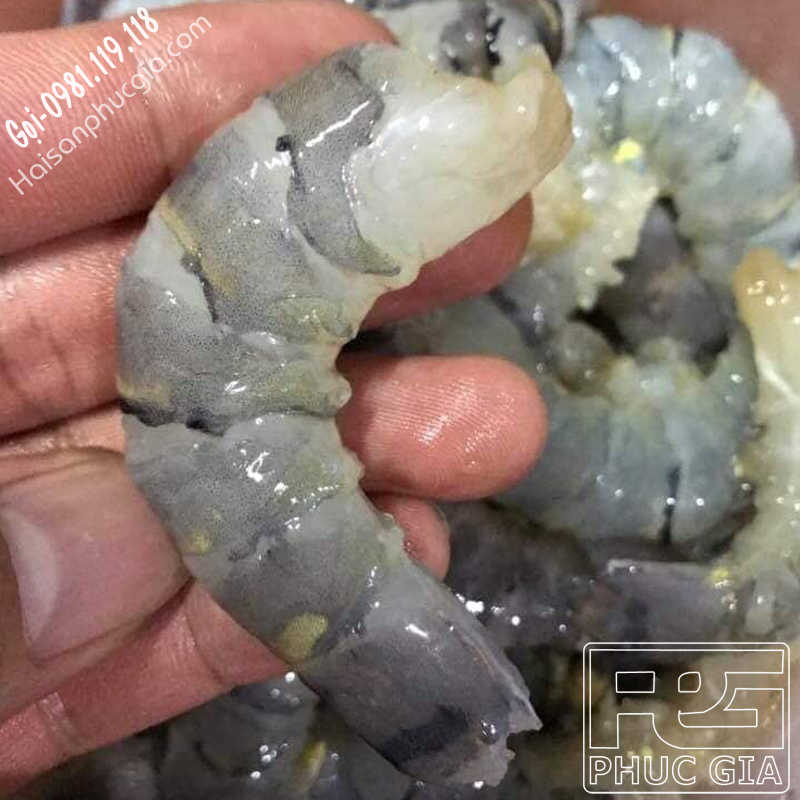 Báo Giá Tôm Nõn Đông Lạnh Giá Bao Nhiêu 1kg, Sỉ Lẻ Nõn Tôm Tươi